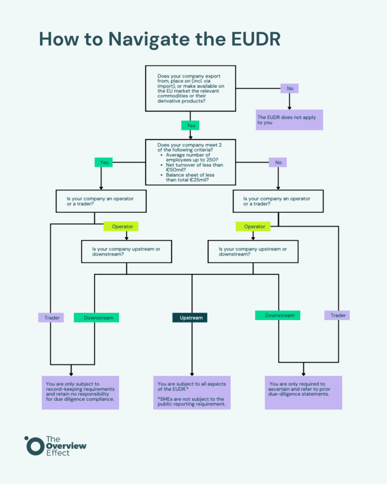 A Deep Dive into the EU Deforestation Regulation (EUDR) - The Overview Effect